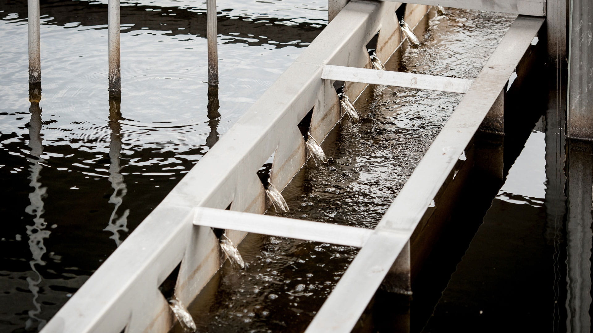 Search Page | Haskoning