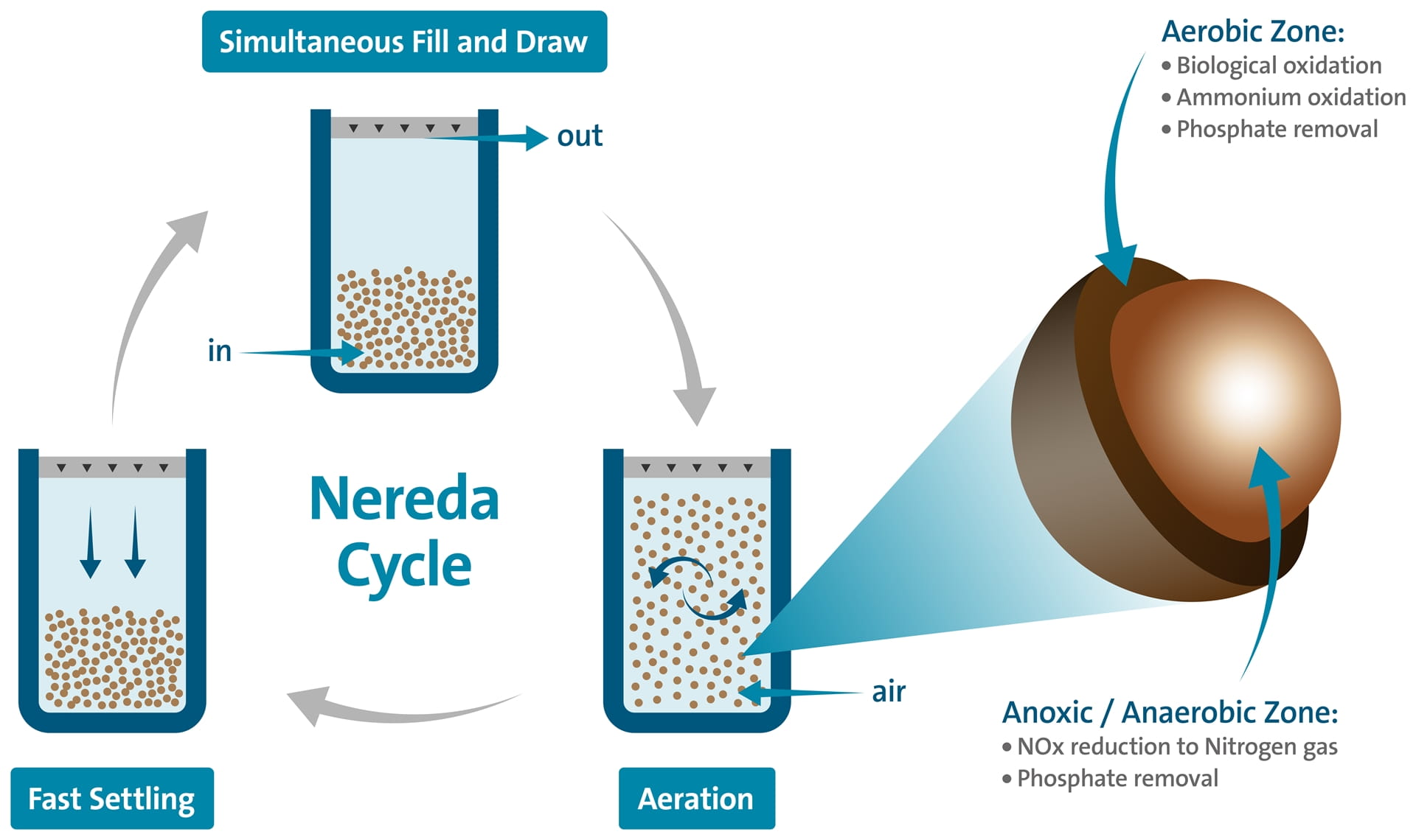 Nereda technology how it works | Haskoning Nereda technology how it works | Haskoning